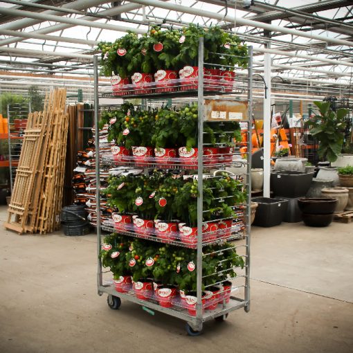 Snacker Tomato Rack Van Wingerden Greenhouses 02 - Van Wingerden ...