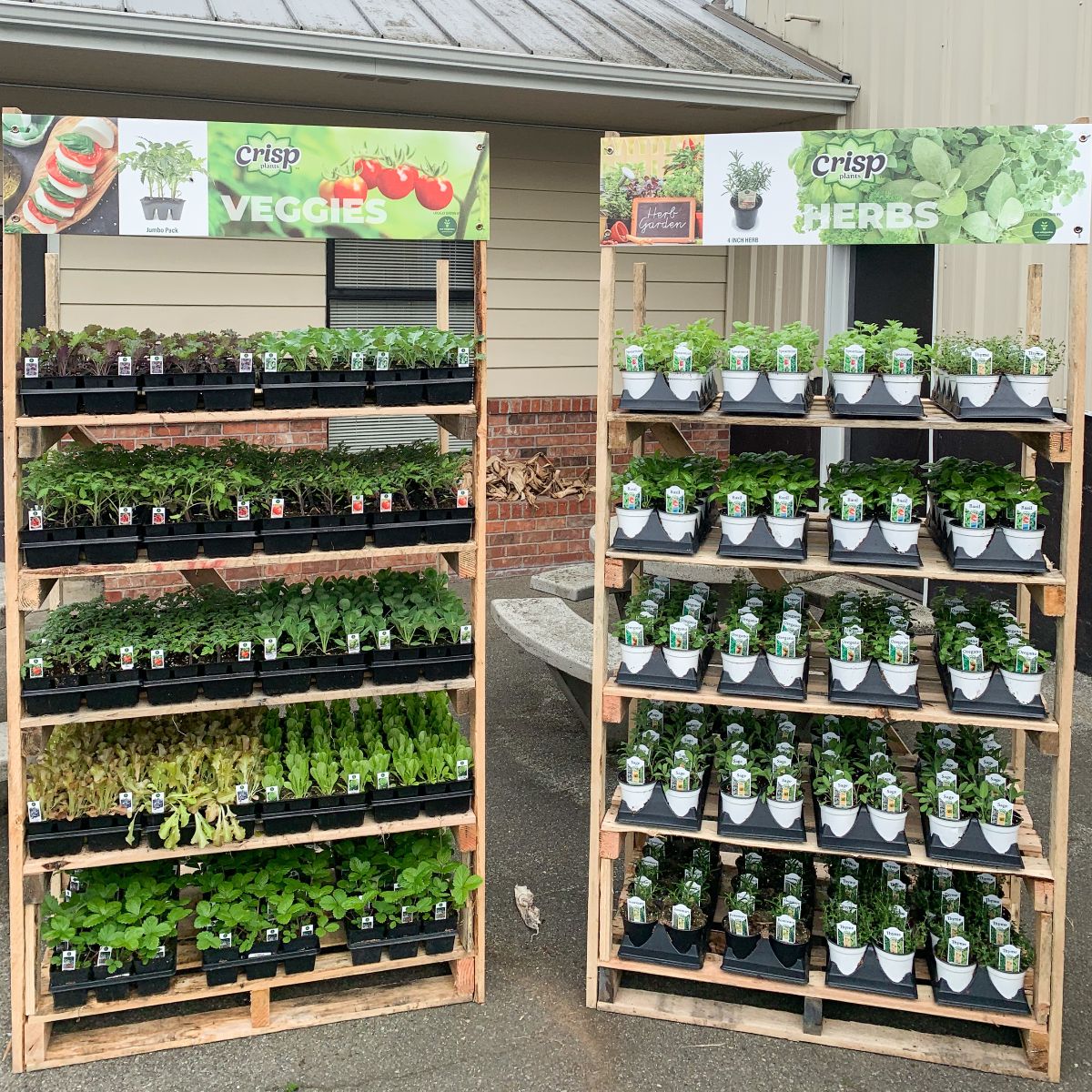 Herb and Vegi Display rack - Van Wingerden Greenhouses